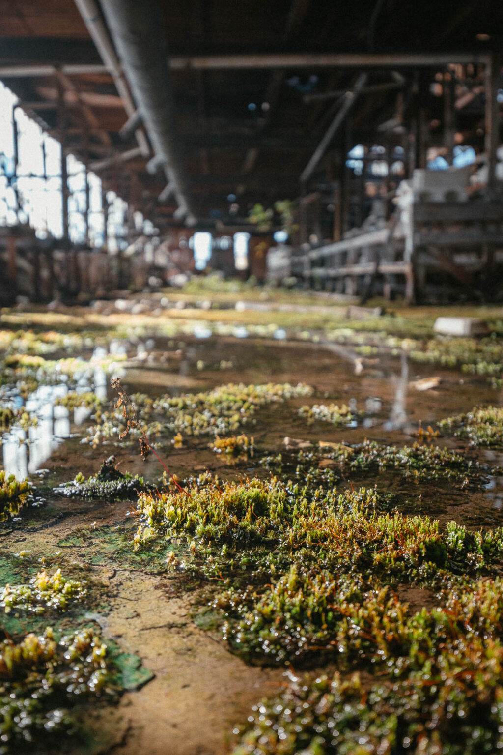 Shenango China Factory - Abandoned - Urban Exploration